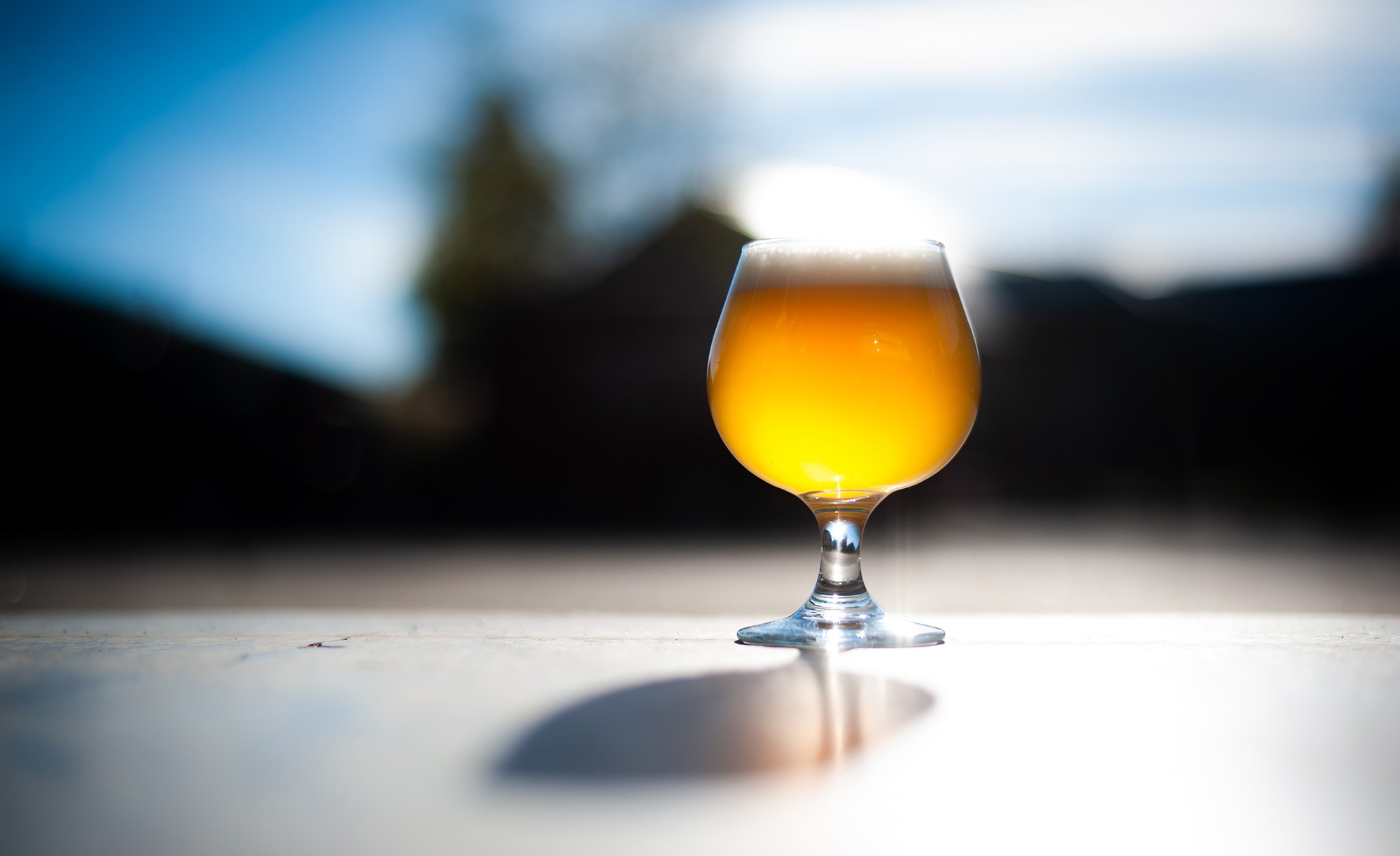 Haldi Doodhi - Golden Milk Ale Recipe - Yeast Driven