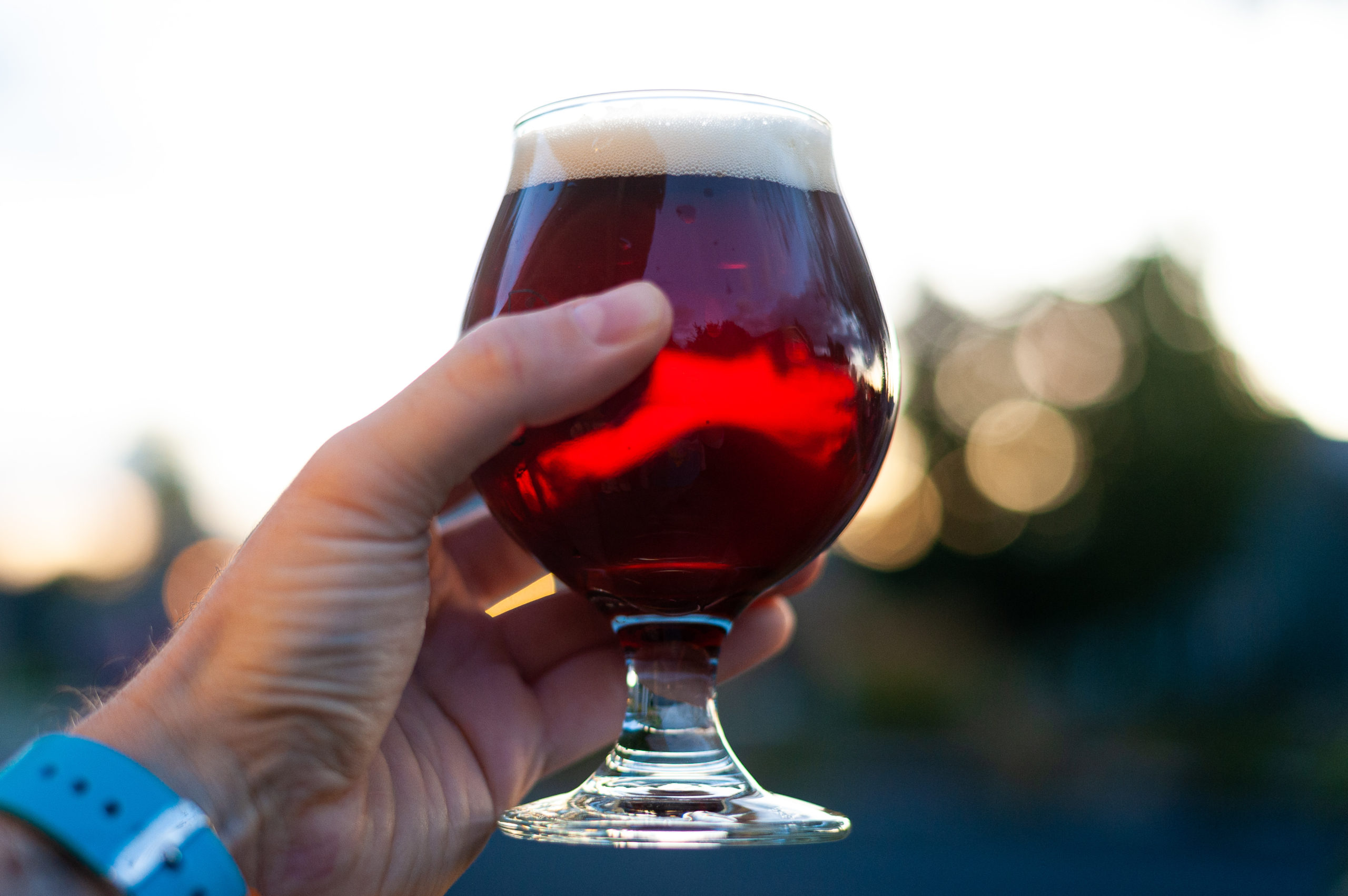 B-Dubs - Belgian Dubbel Recipe - Yeast Driven