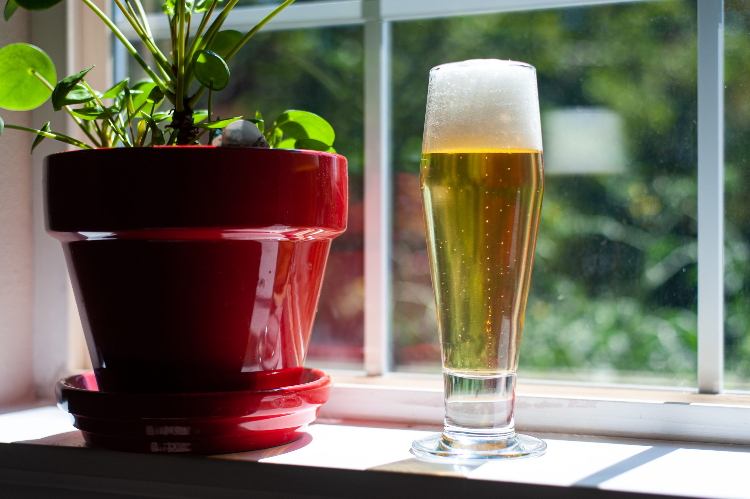 Birra Perfetta - Italian Pilsner Recipe - Yeast Driven