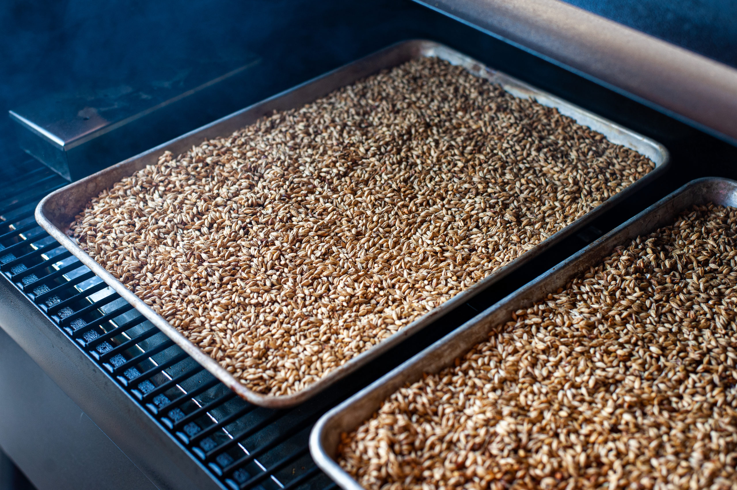 Lionshead Lager - Smoked Lager Recipe - Yeast Driven