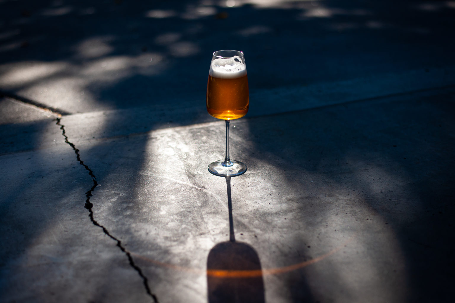 Fest Dressed - German Festbier Recipe - Yeast Driven