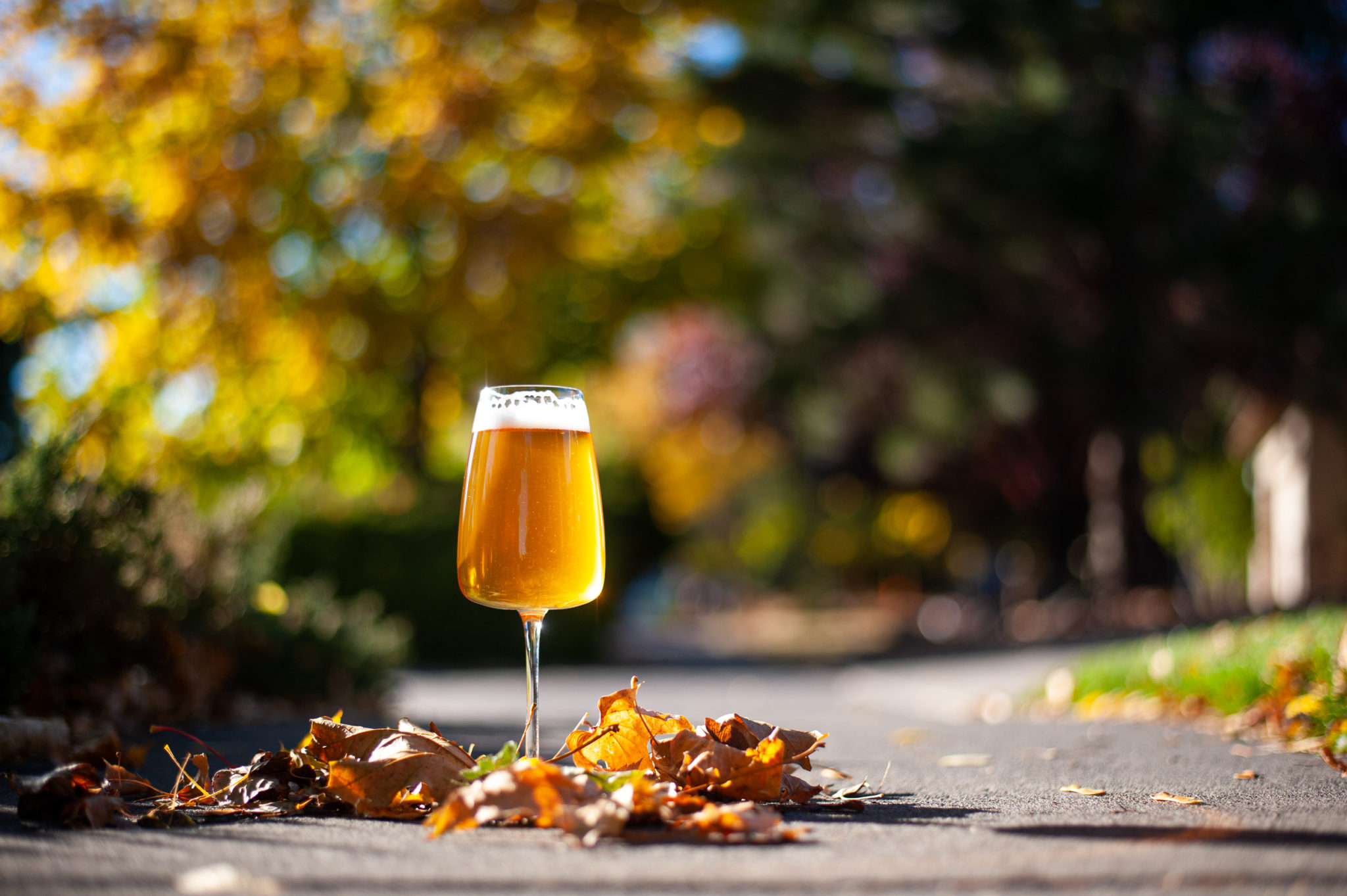 Fest Dressed - German Festbier Recipe - Yeast Driven