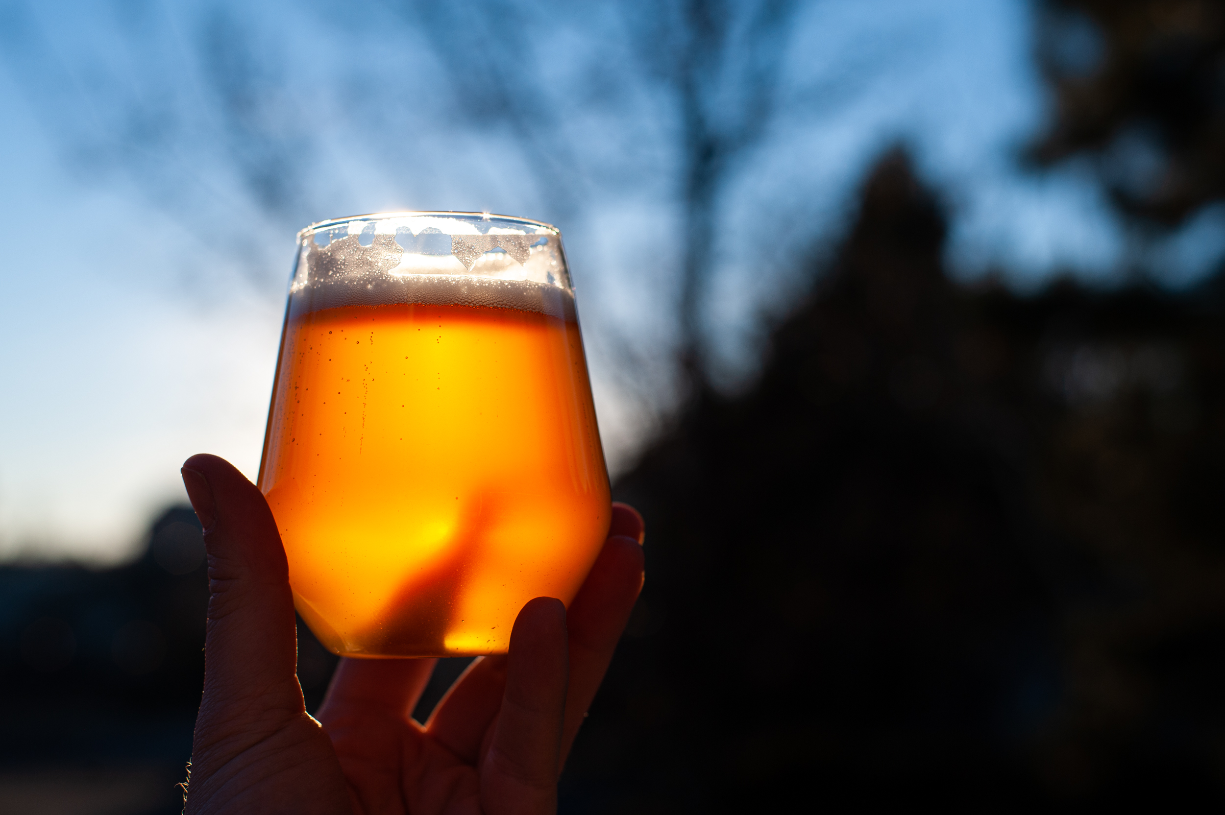 The Curious Case of the Two Two Hearted Ales - Yeast Driven